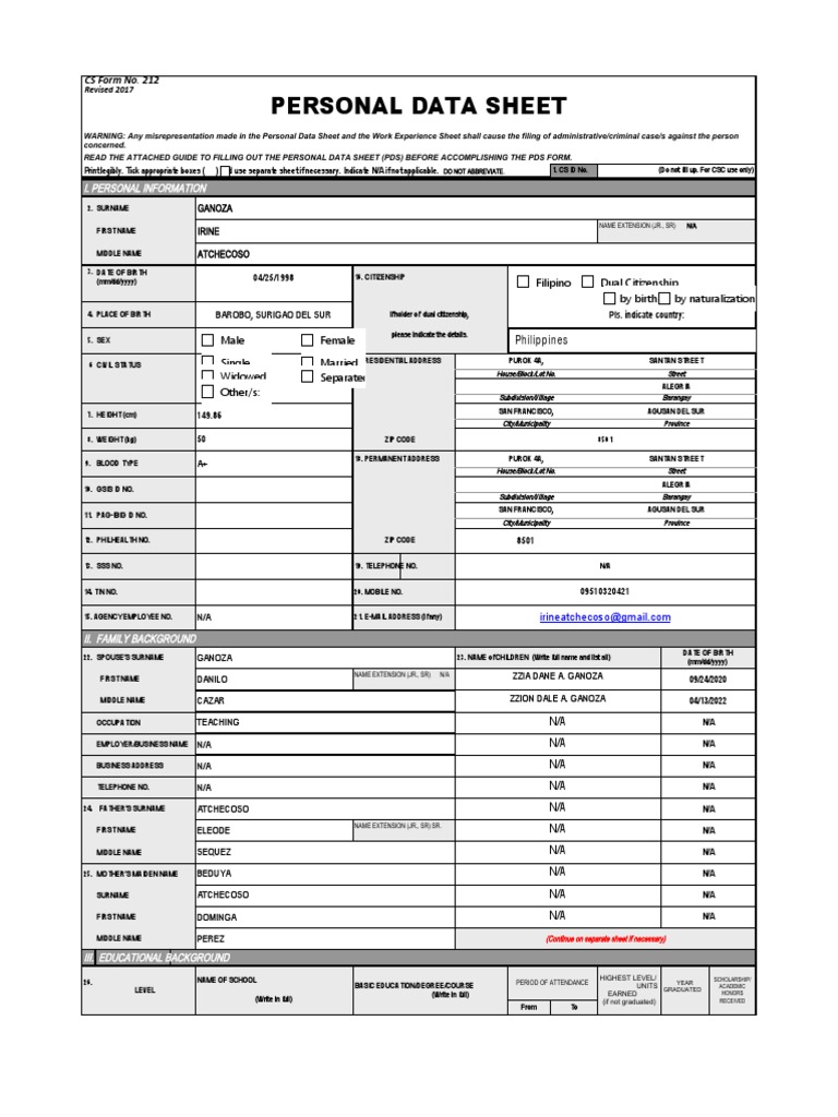 Personal Data Sheet - IRINE | PDF | Government | Justice
