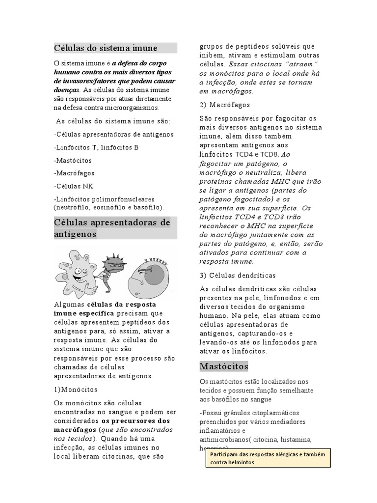 Células Do Sistema Imune Pdf Sistema Imunológico Linfócito