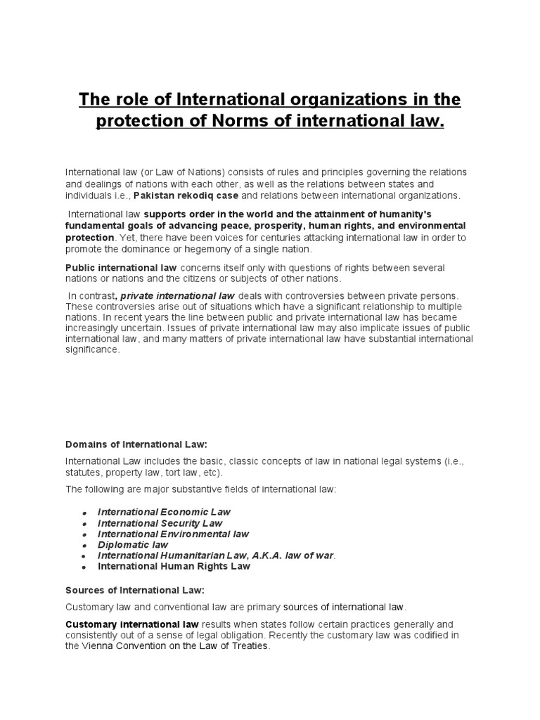 The Role of International Organizations in The Protection of ...