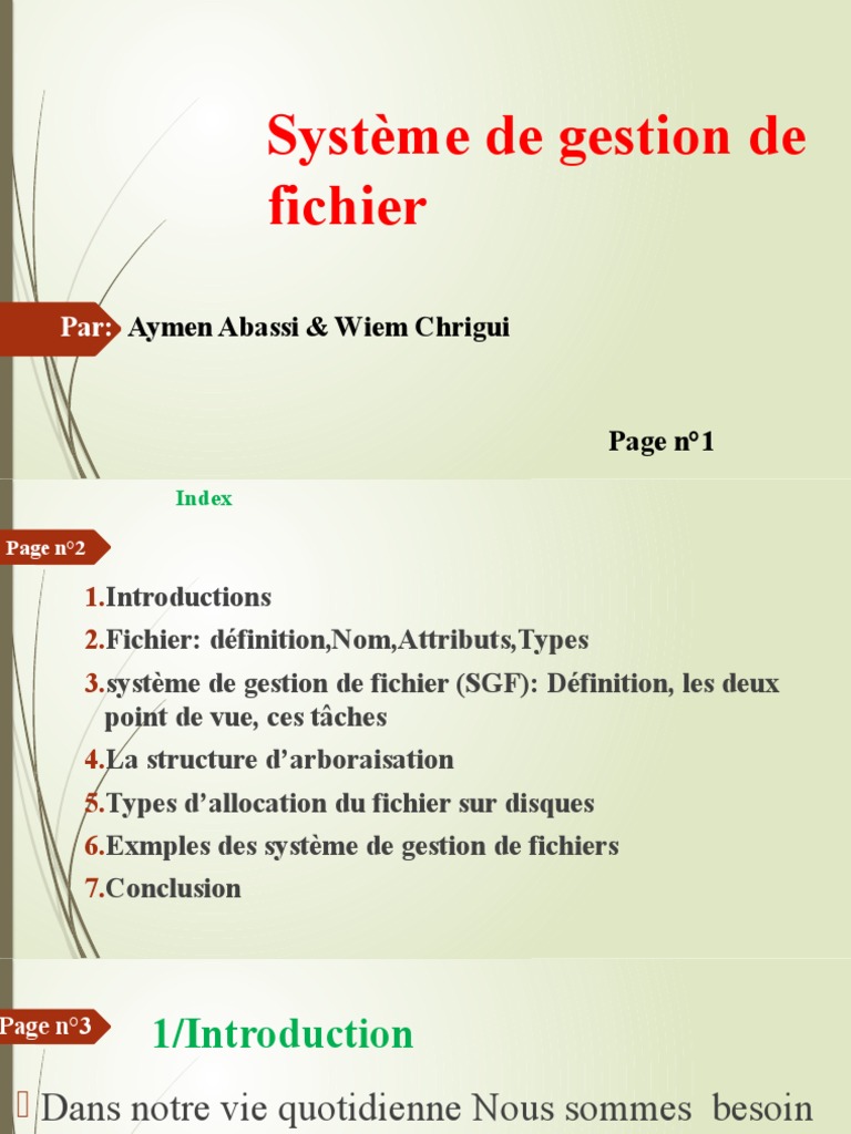 Système de Gestion de Fichier | PDF | Système de fichiers | Fichier informatique