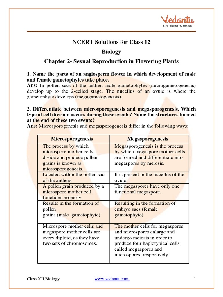 Class 12 - Biology - Sexual Reproduction in Flowering Plants | PDF ...