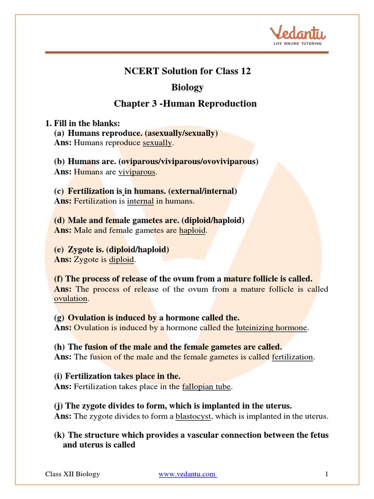NCERT Class 12 Human Reproduction Guide | PDF | Menstrual Cycle ...