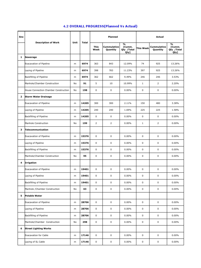 Monthly Executive Report | Download Free PDF | Business