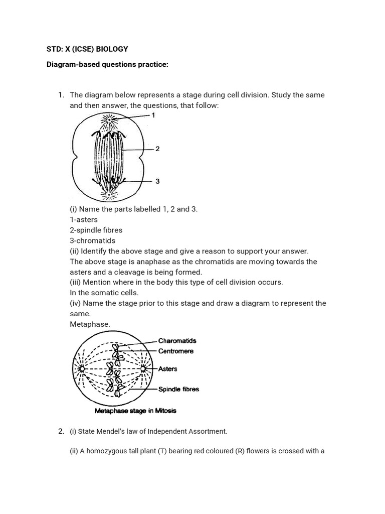10 Icse Biology Practice Questions | PDF | Hormone | Biology