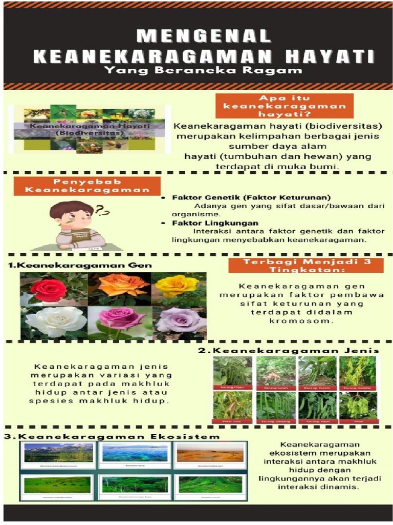 Bahan Ajar Visual Pdf