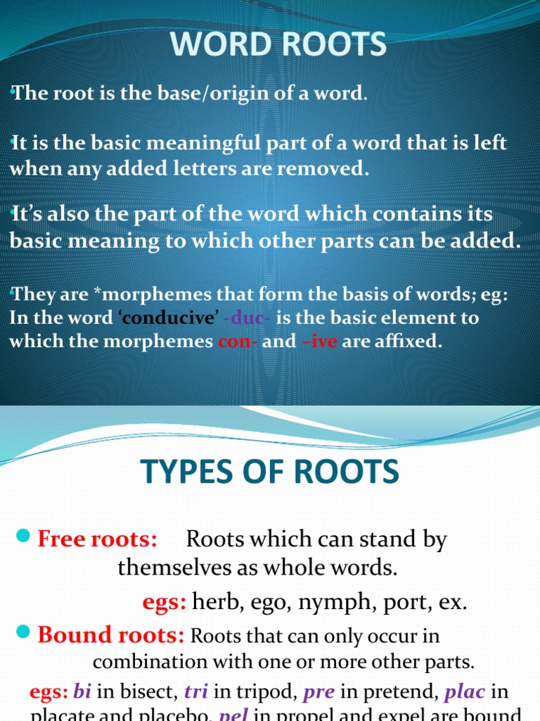 Word Roots (Greek & Latin) | PDF | Word | Linguistics