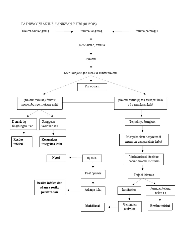 Pathway Fraktur | PDF