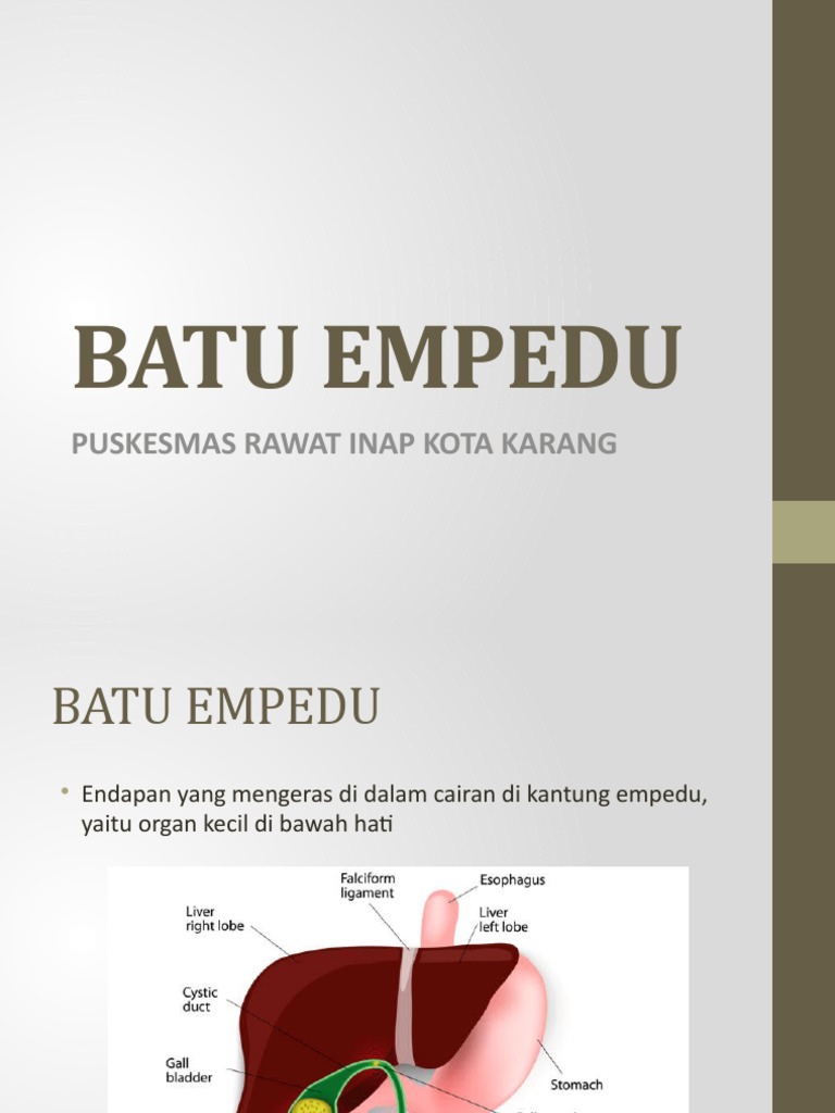 Batu Empedu: Gejala, Risiko, dan Pencegahan | PDF | Memasak, Makanan ...
