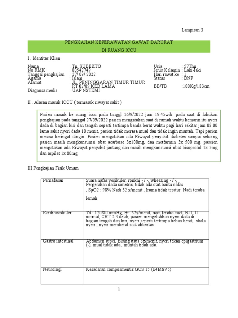Askep Nstemi Iccu | PDF | Sains & Matematika
