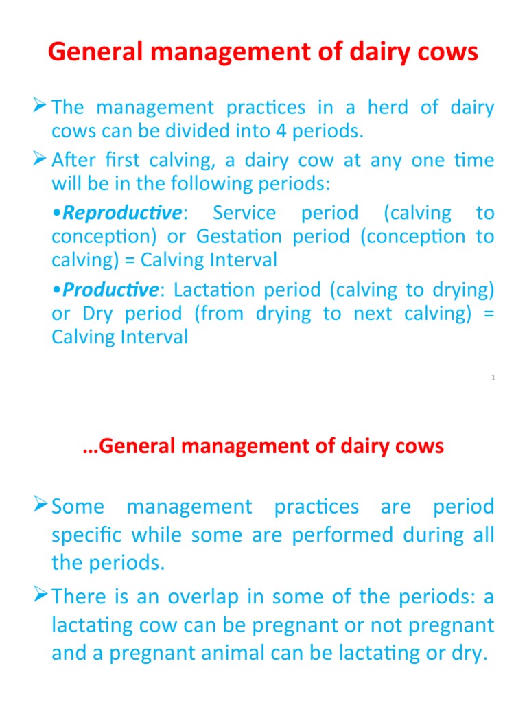 General Management of Dairy Cows | PDF | Dairy Cattle | Cattle