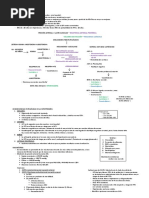 Ángulo de Louis | PDF | Tórax | Anatomía humana