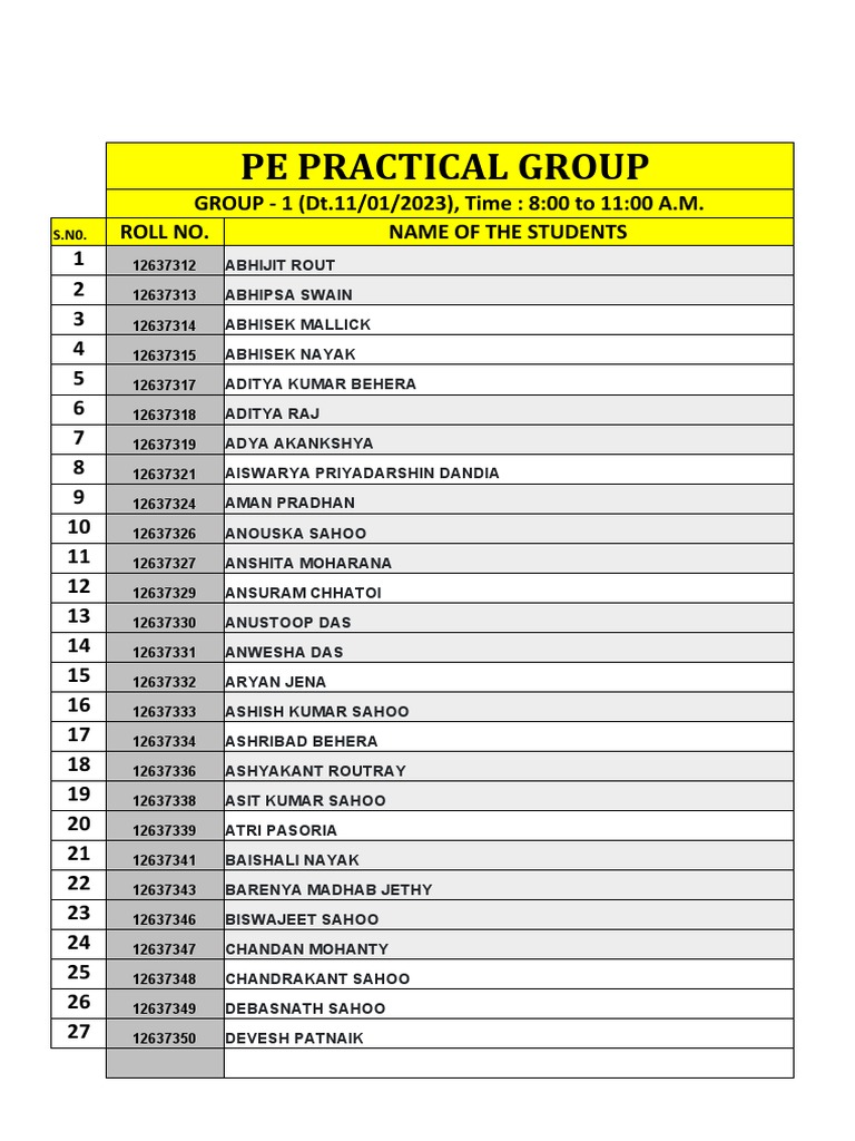 Pe Practical Group | PDF