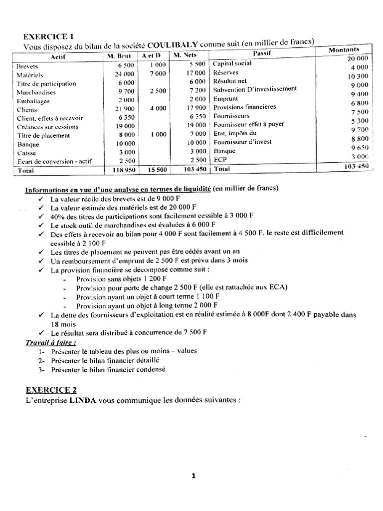 Bilan Financier Exo Togola Sita | PDF