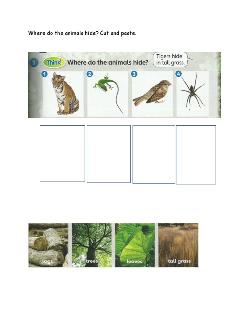 Where Do The Animals Hide | PDF | Home & Garden | Wellness