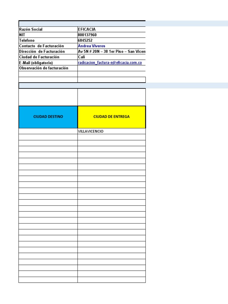 Bonos Eficacia - Formato | PDF
