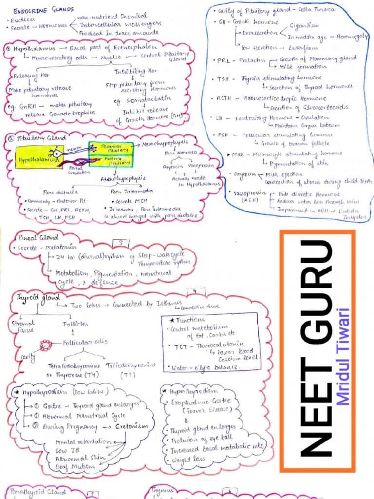 Chap 22 Chemical Control and Coordination Mind Map Short Notes | PDF