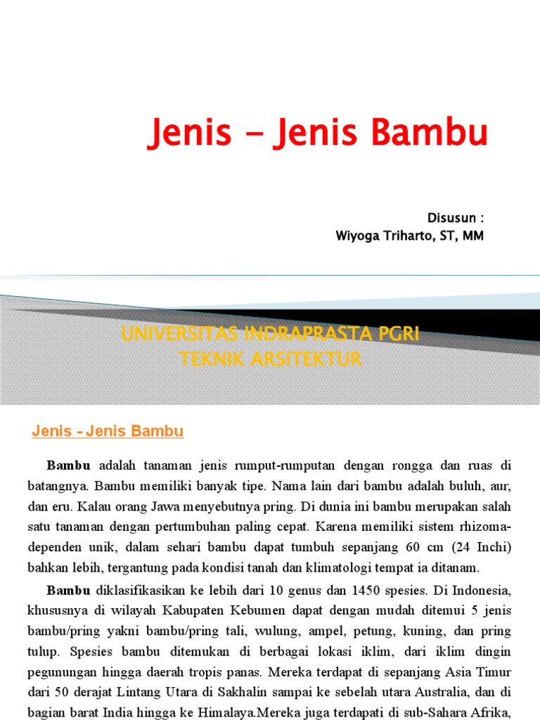 Bambu | PDF