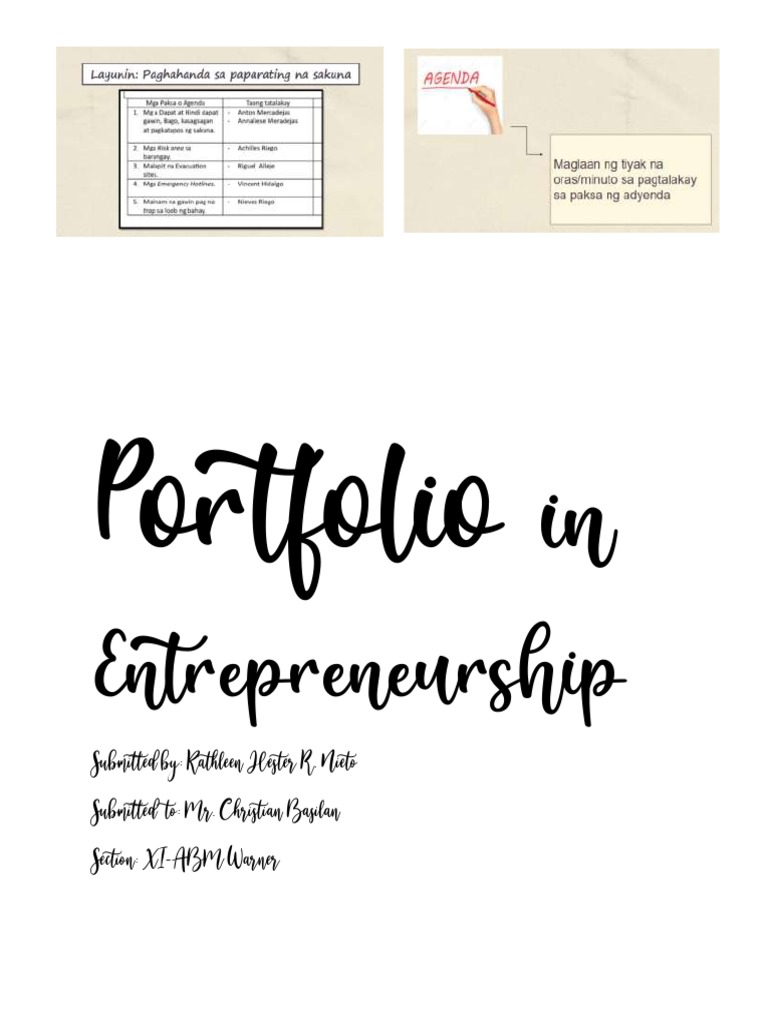 Portfolio in Entrepreneurship | PDF