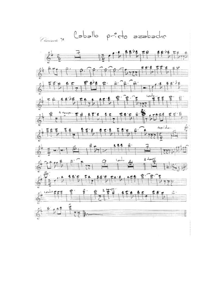 Caballo Prieto Azabache | PDF