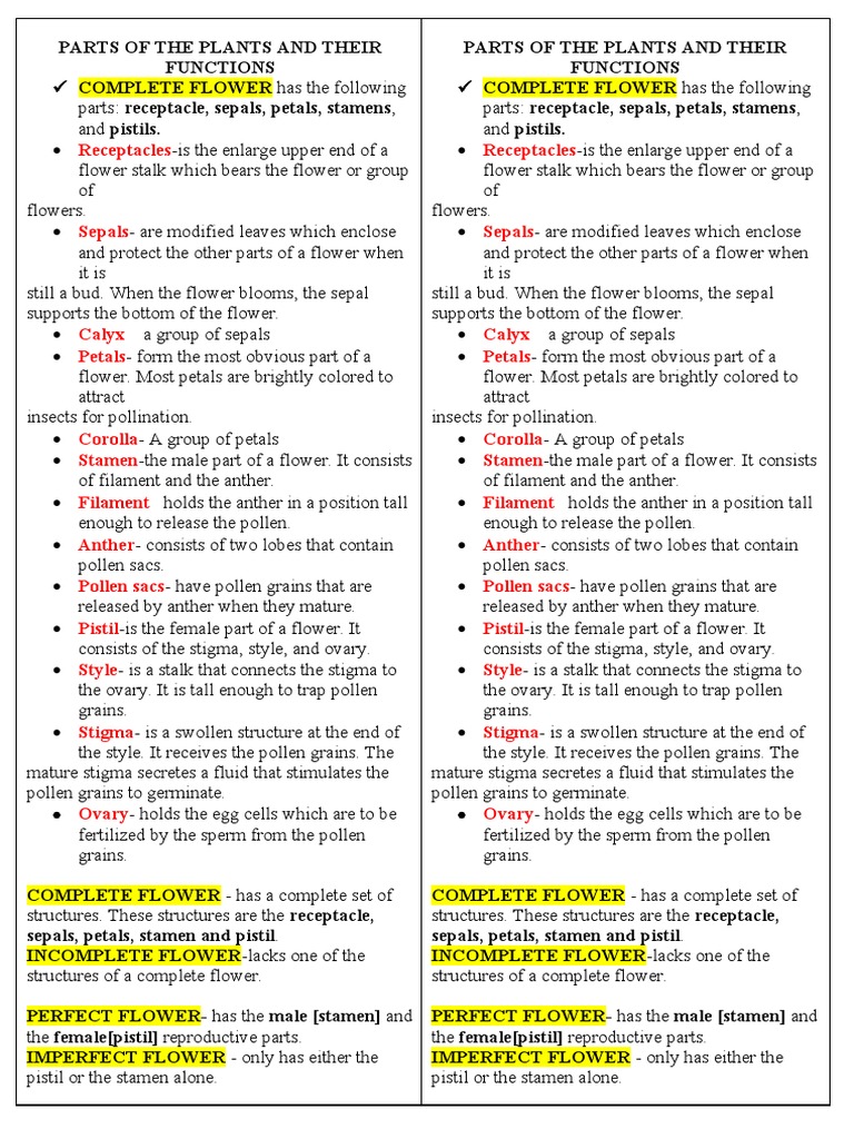 Notes Science Modes in Reproduction PLANTS | PDF | Flowers | Petal