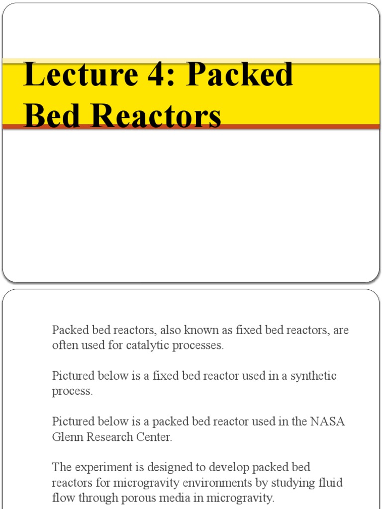 Packed Bed Reactor Schematic Diagram Schematic Representatio