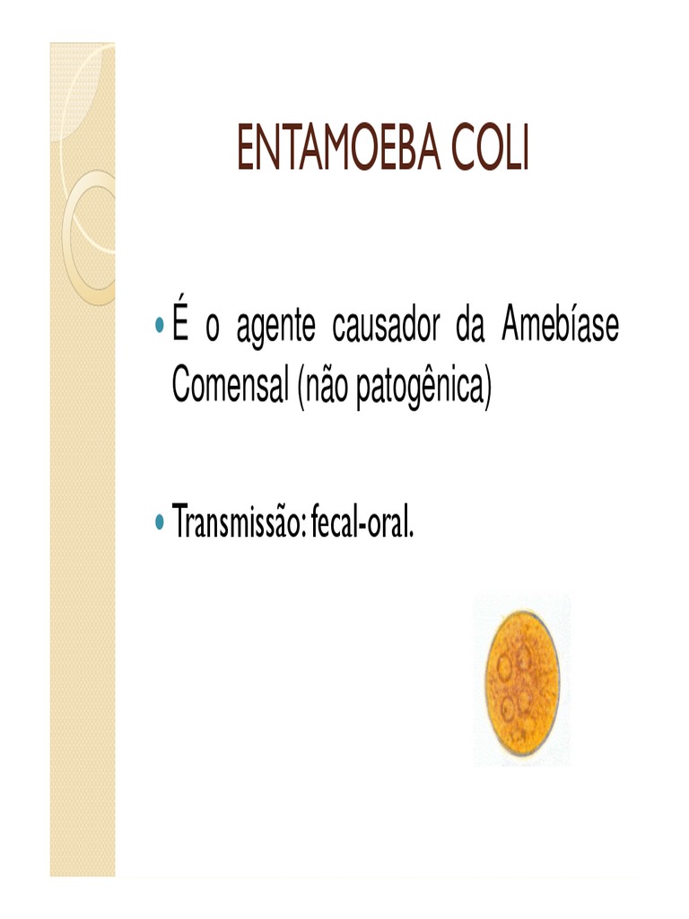 Entamoeba Coli-1 | PDF