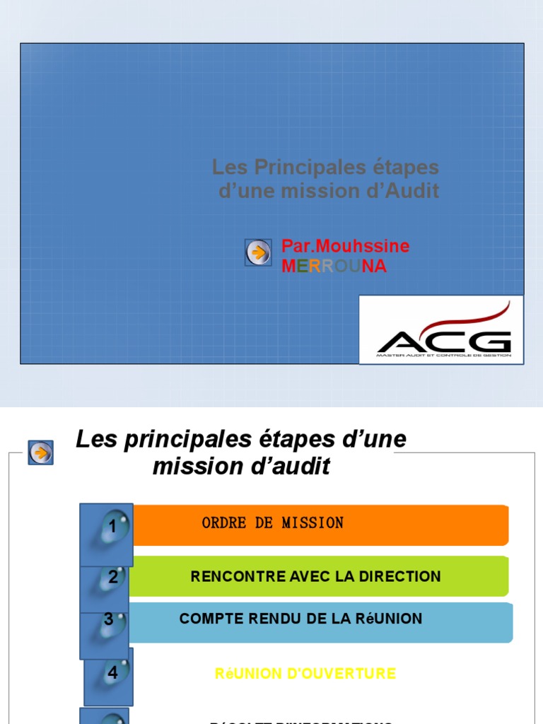 Les Principales Étapes D'une Mission D'audit | PDF