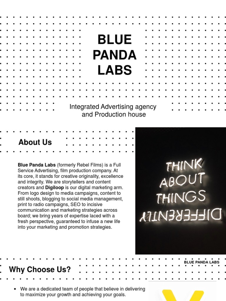 A Full-Service Creative Agency: An Overview of Blue Panda Labs ...