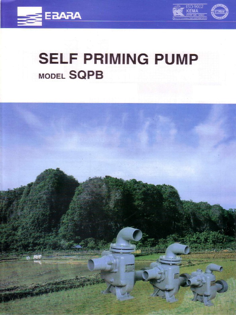 Catalogue-Ebara-SQPB | PDF | Machines | Mechanical Engineering