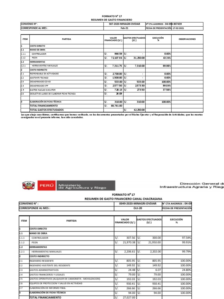 Formato #17 - Resumen de Estado Financiero | PDF