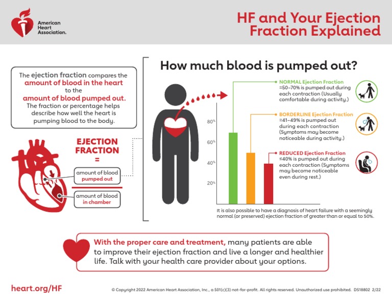 HF and Your Ejection Fraction Explained | PDF | Ejection Fraction | Heart