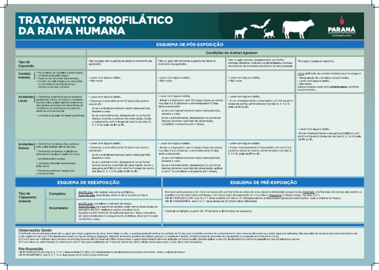 Cartaz Raiva v5 Impressão 2022 | PDF