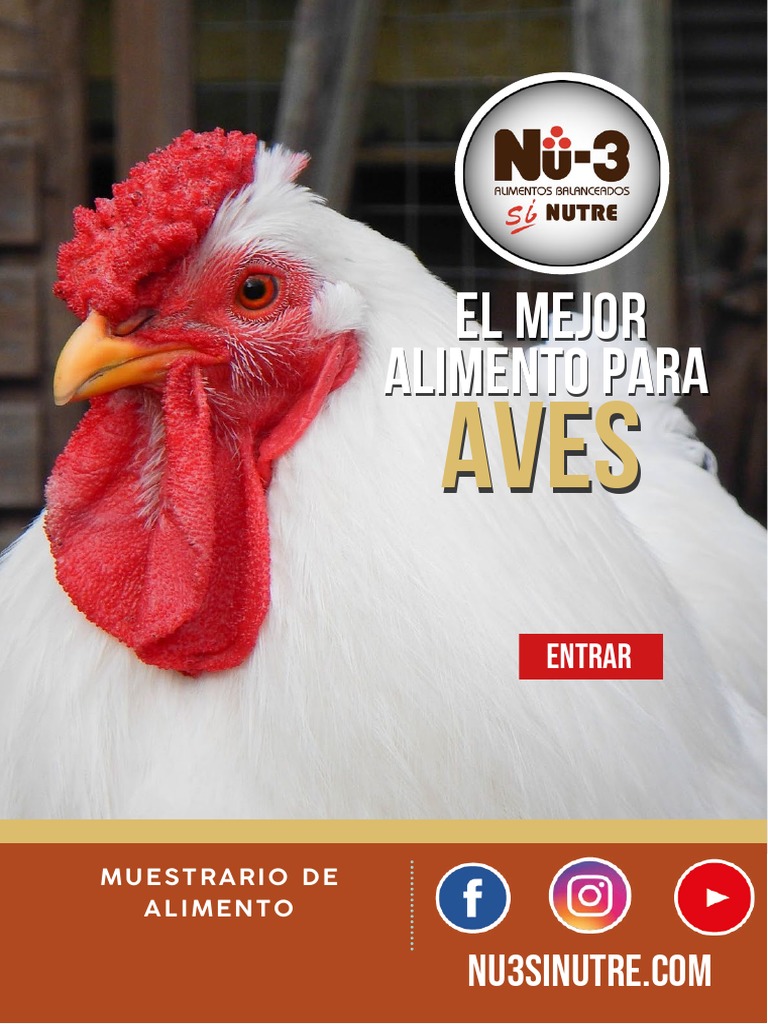 Catálogo de Alimentos para Aves Nu3 | PDF | Salud y bienestar