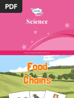 3rd Grade - Food Chain Worksheet | PDF