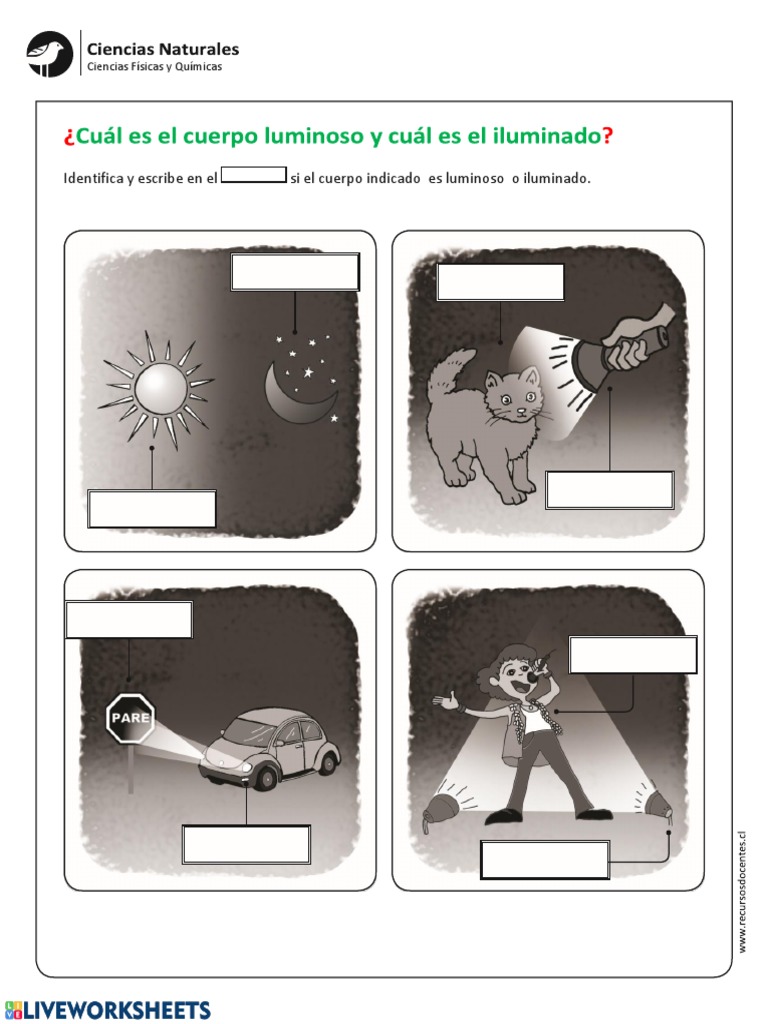 Cuerpos Luminosos e Iluminados | PDF