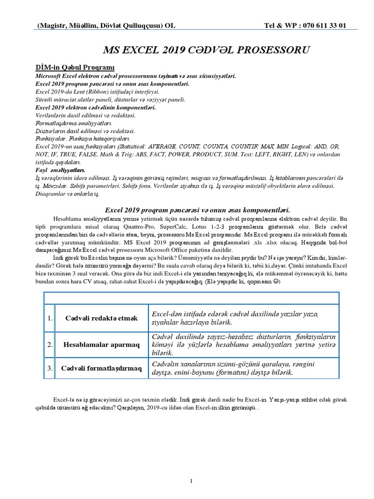 MS Excel 2019 | PDF