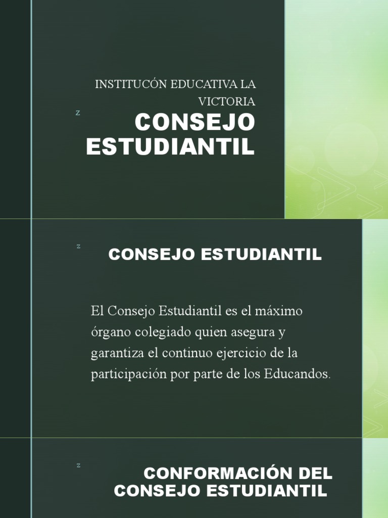 Estructura y Funciones del Consejo Estudiantil | PDF