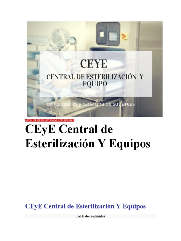 Áreas de la Central de Esterilización CEyE | PDF | Esterilización ...