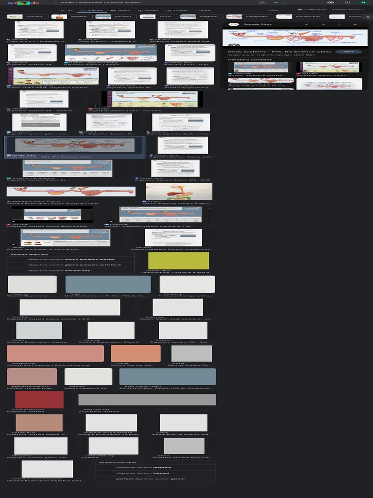 Student Exploration Cell Types - Google Search | Download Free PDF ...