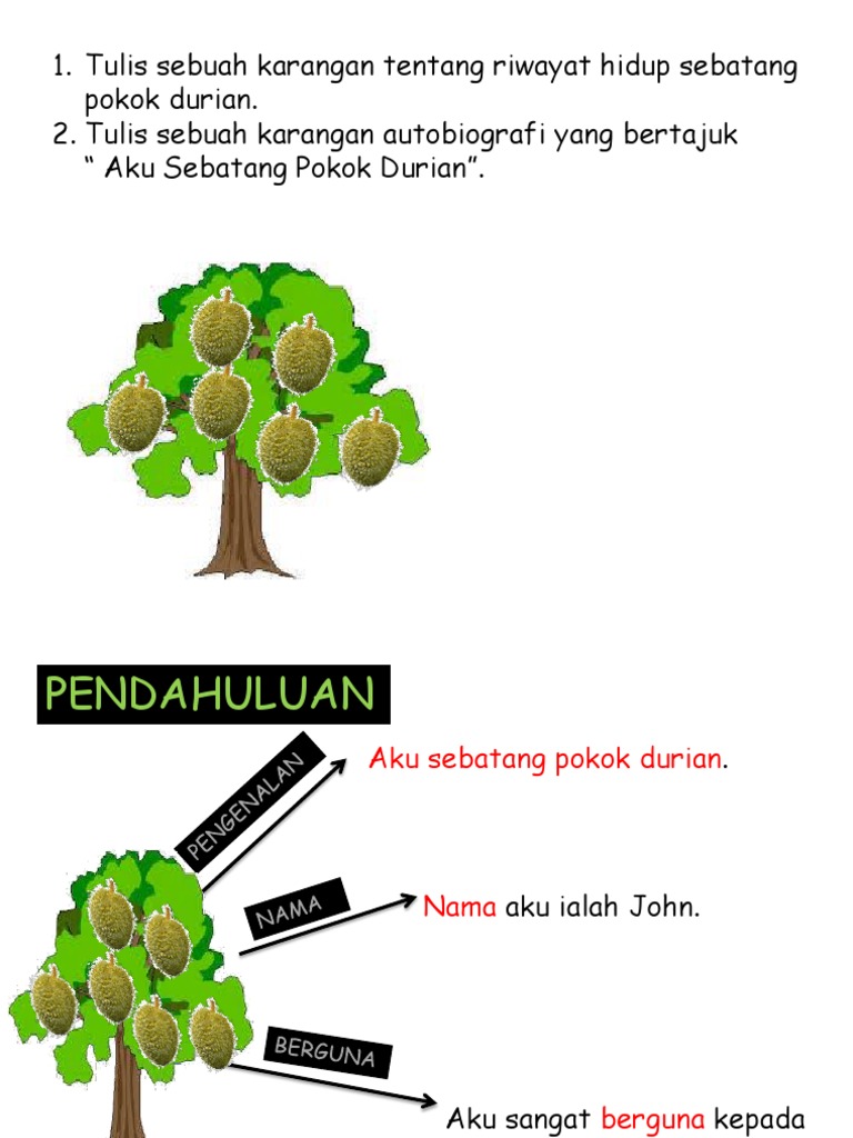 Aku Sebatang Pokok Durian | PDF