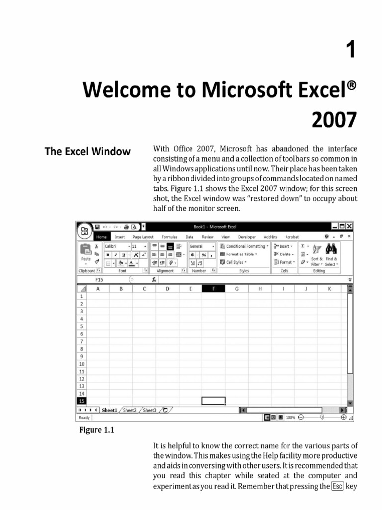 Chapter 1 Welcome To Microsoft Excel 2007 - 2009 - A Guide To Microsoft ...