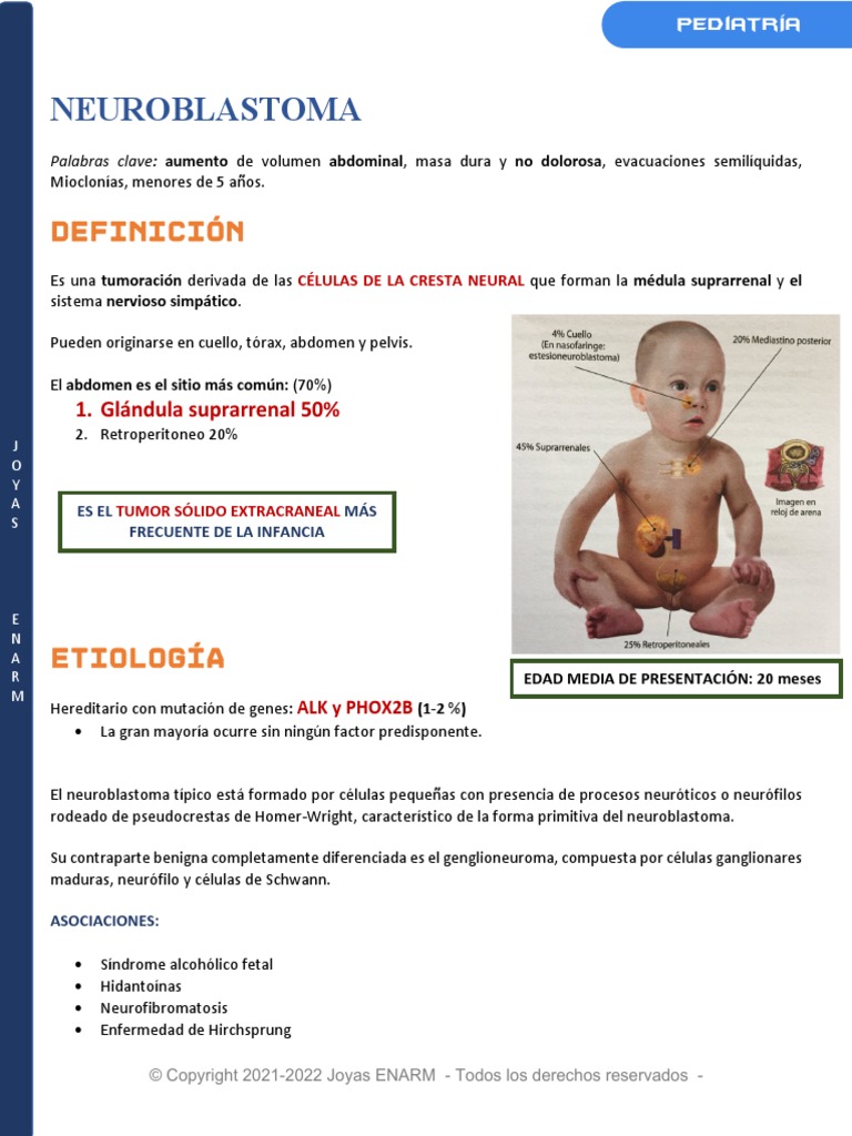 Neuroblastoma | PDF | Enfermedades y trastornos humanos | Ciencias de ...
