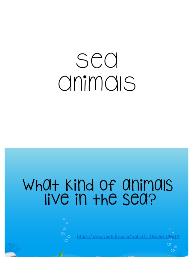 Sea Animals | PDF