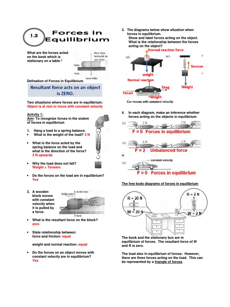 Forces in Equilibrium | PDF | Force | Tension (Physics)