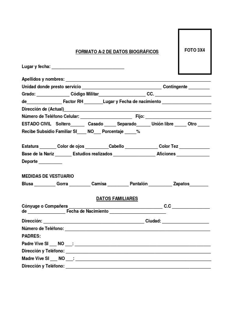 Formato Datos Personales A2 | PDF