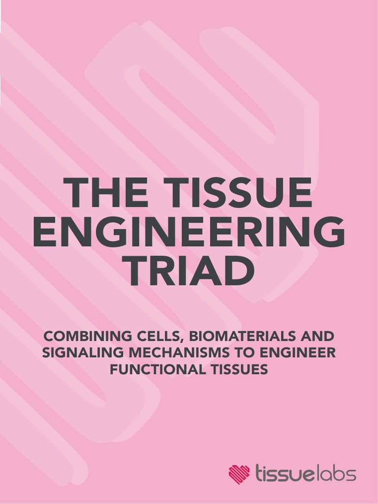 The Tissue Engineering Triad - Combining Cells, Biomaterials and ...