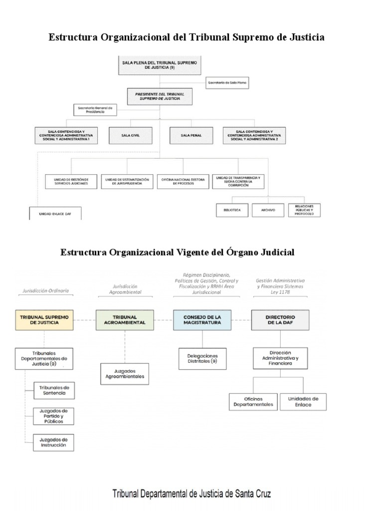 Organigrama Organo Judicial | PDF