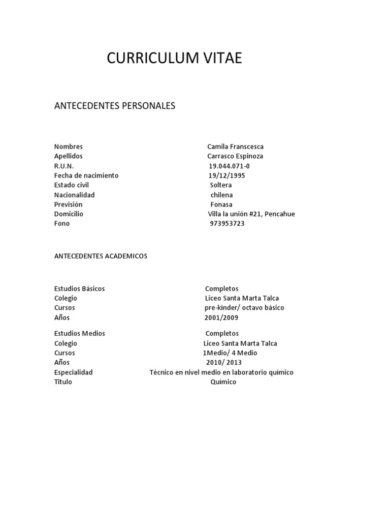 Curriculum Vitae Camila (1) | PDF