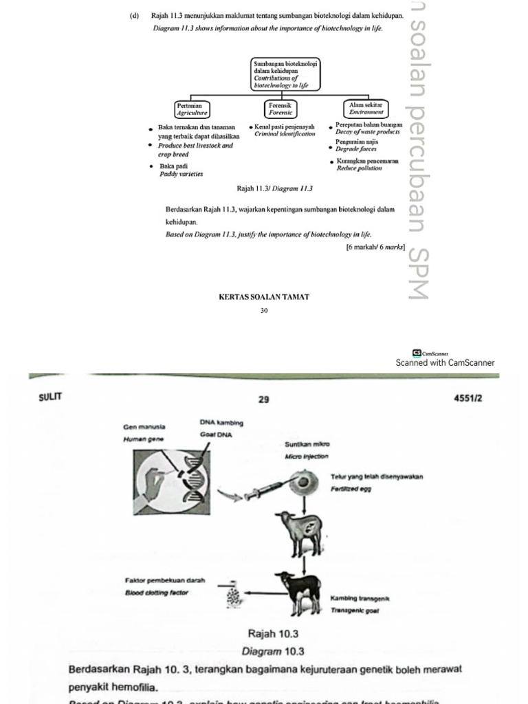 Bab 13 T5 Trial Biologi 2022 | PDF