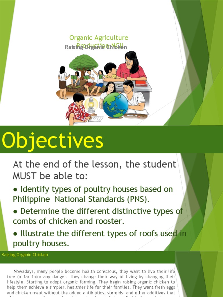 Lesson 1 | PDF | Chicken | Poultry